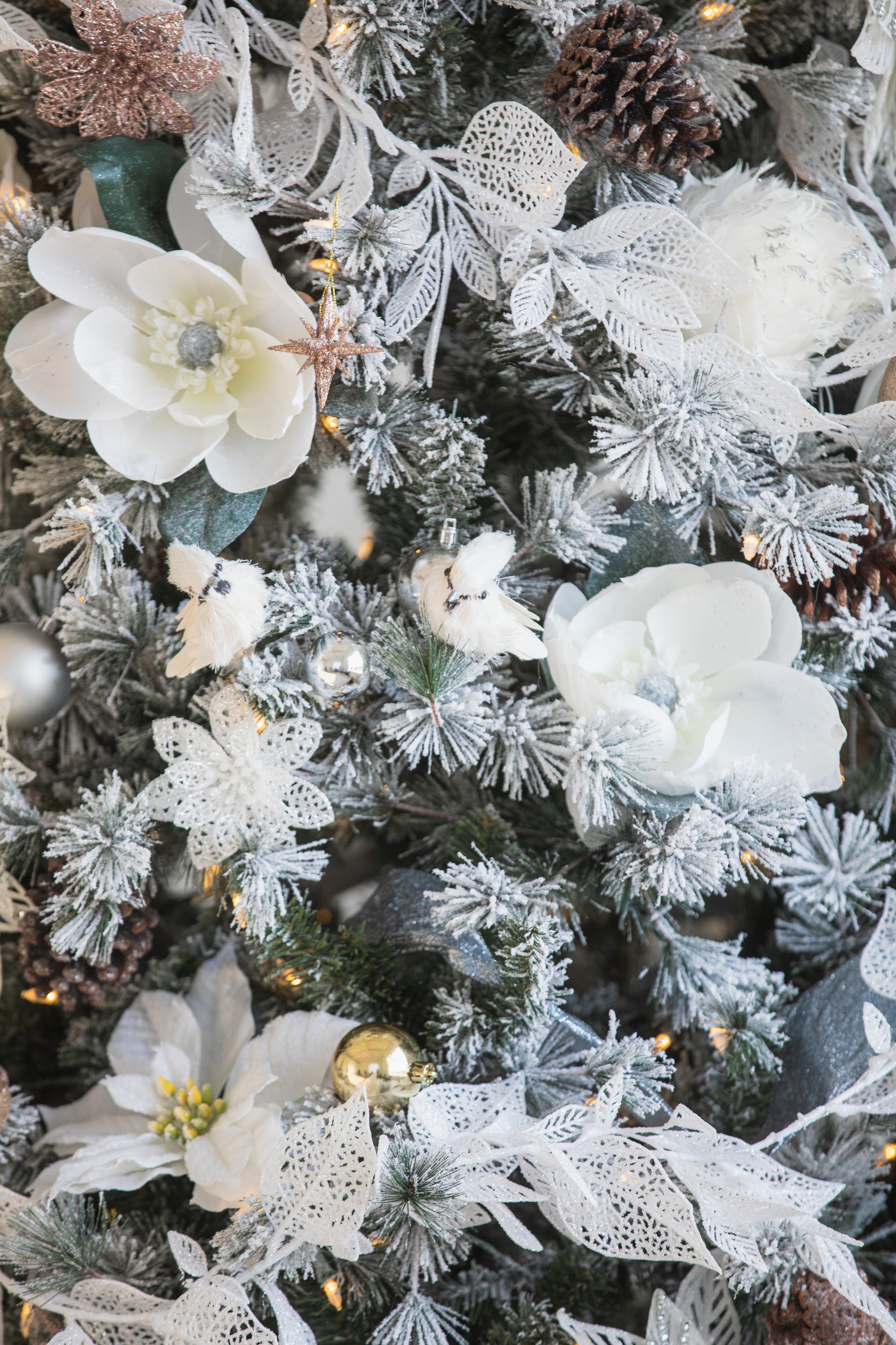 Flowers by Webster – Flowers by Webster